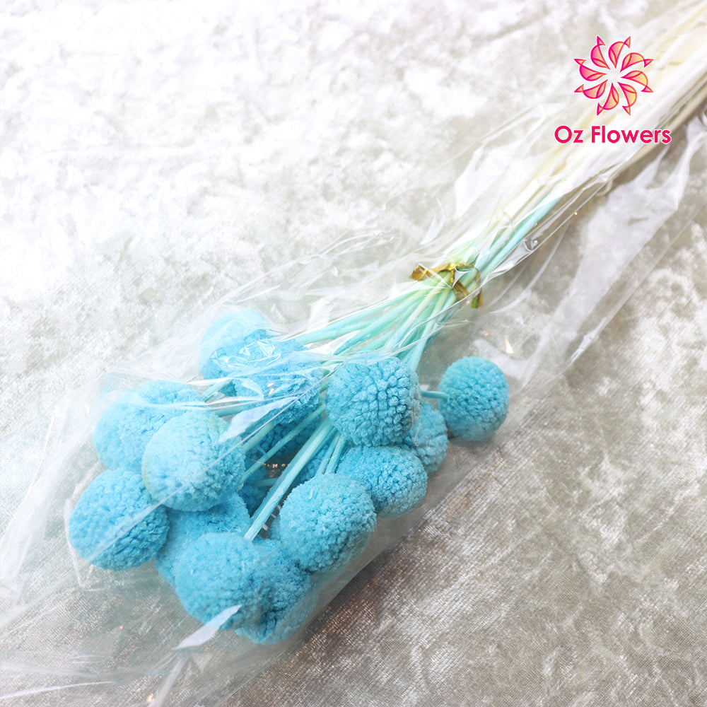 Blue Natural Dried Billy Button Bunch– Oz Flowers