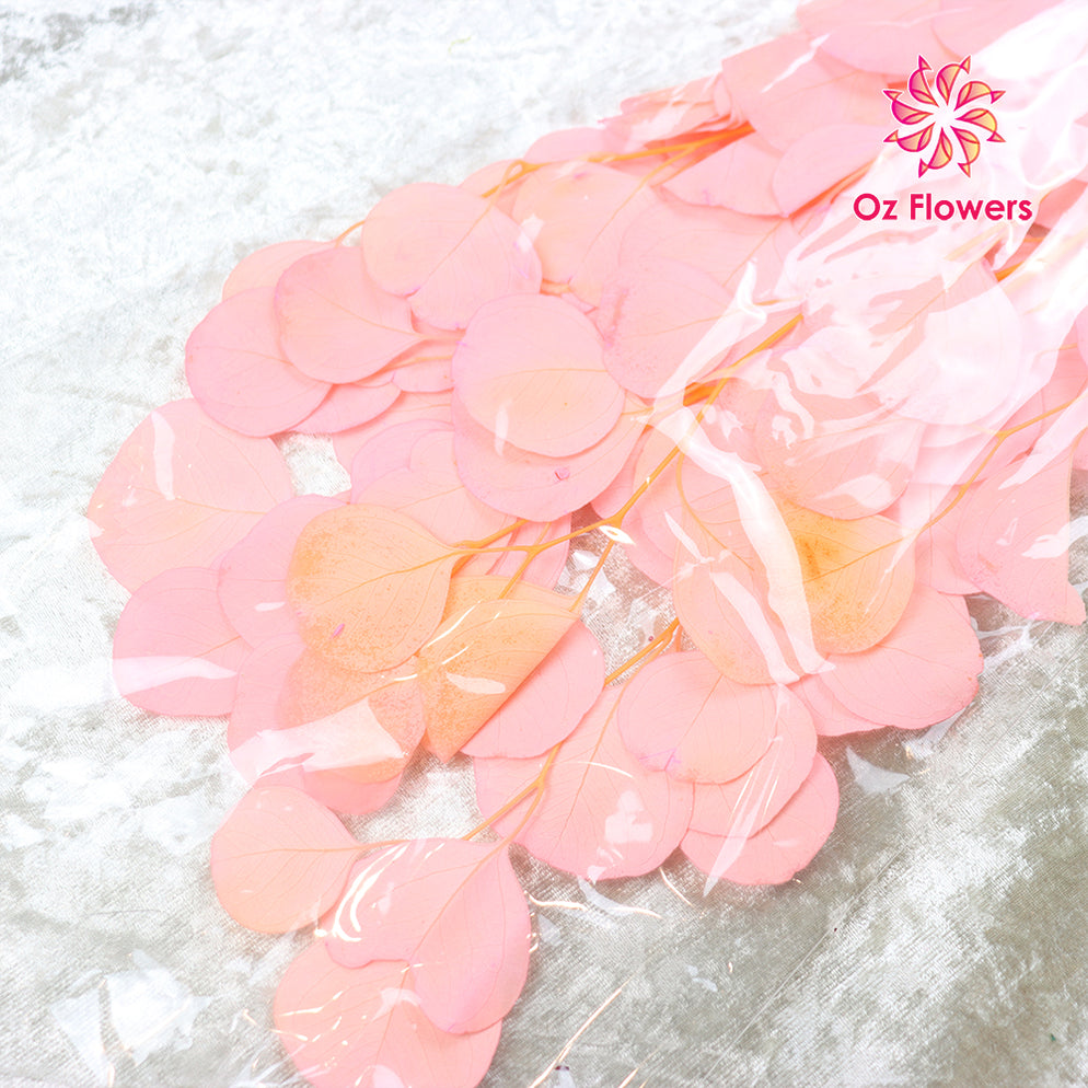 Pink Natural Dried Eucalyptus Apple Shaped Leaves Bunch– Oz Flowers