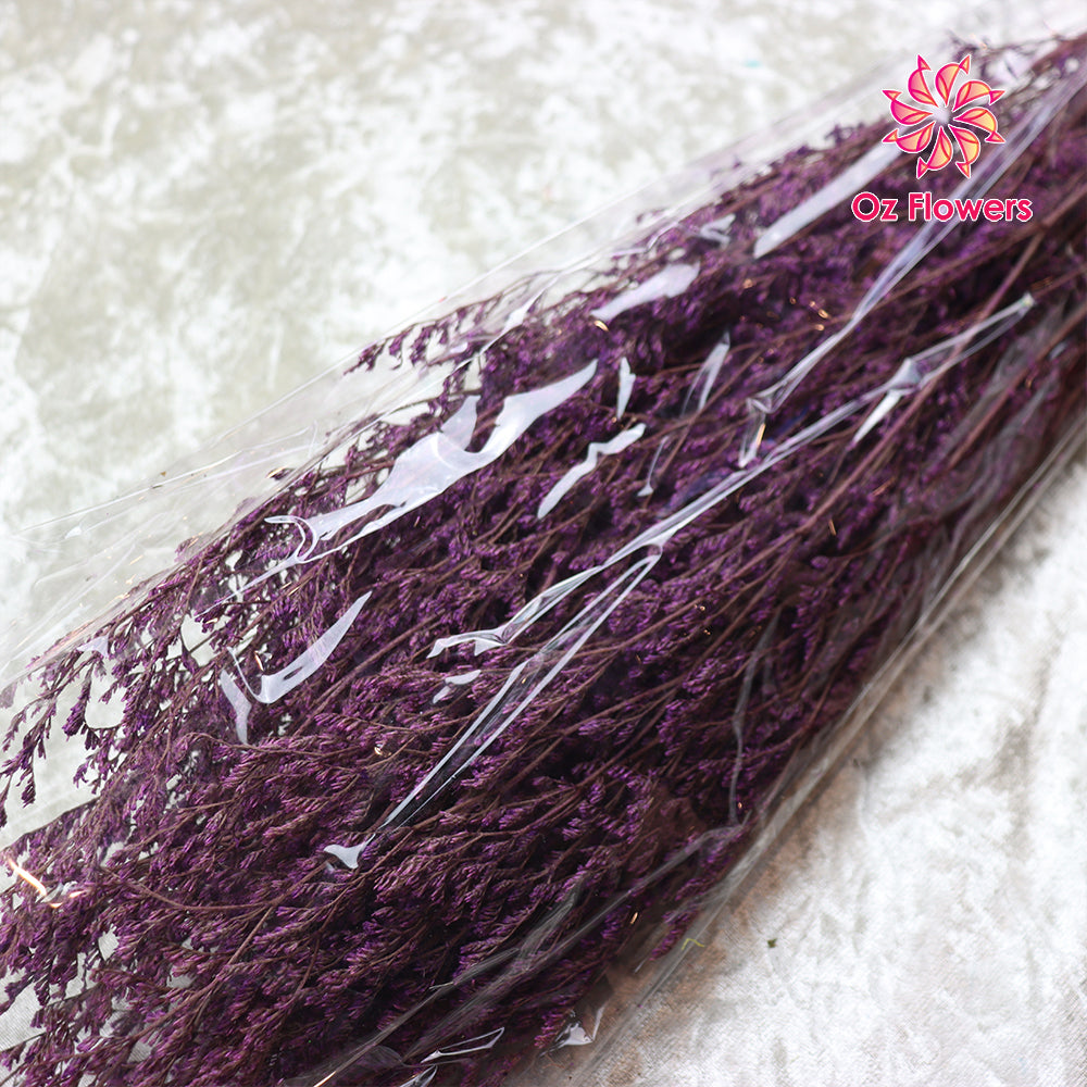 Purple Natural Dried Limonium Bunch– Oz Flowers