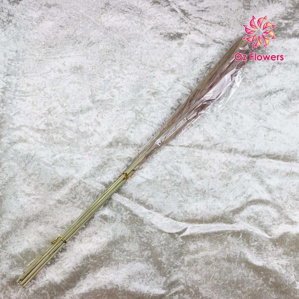 🌾 Dried And Preserved Flowers– Oz Flowers